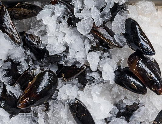 Other Fish & Shellfish – Marinel